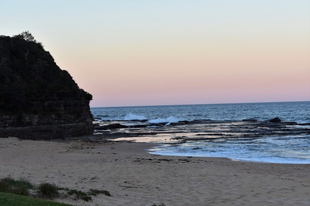Coledale Beach – Her Cup of Tea