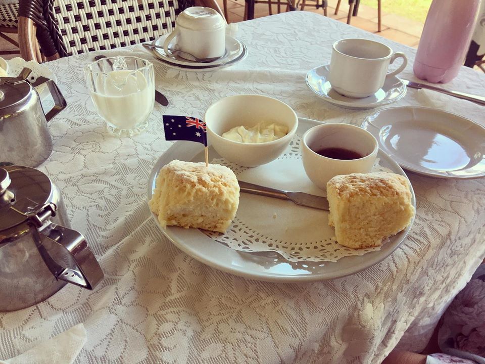 Devonshire Tea at Ormiston House – Her Cup of Tea
